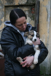 Kastrations-Projekt von ProDogRomania e.V. im Rumänischen Baile Herculane - ProDog Romania e.V.